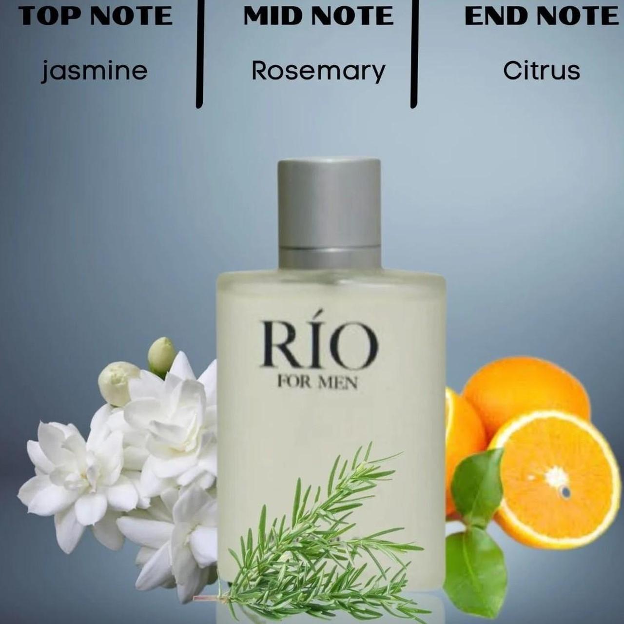 Perfume for men rio 100ml - Depop