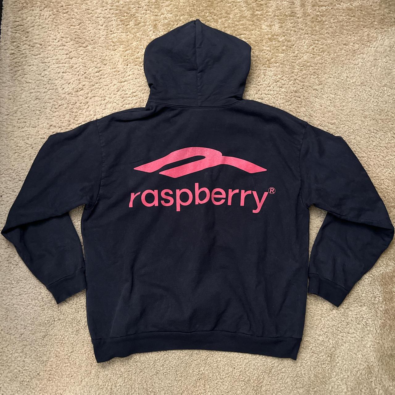 TheGVGallery raspberry hills heavyweight faded black... - Depop