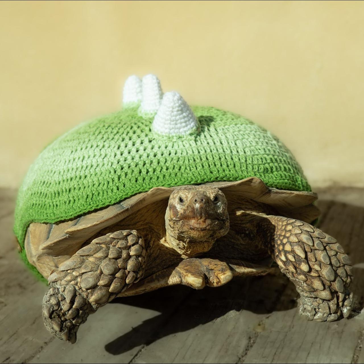 Custom made tortoise shell cozy