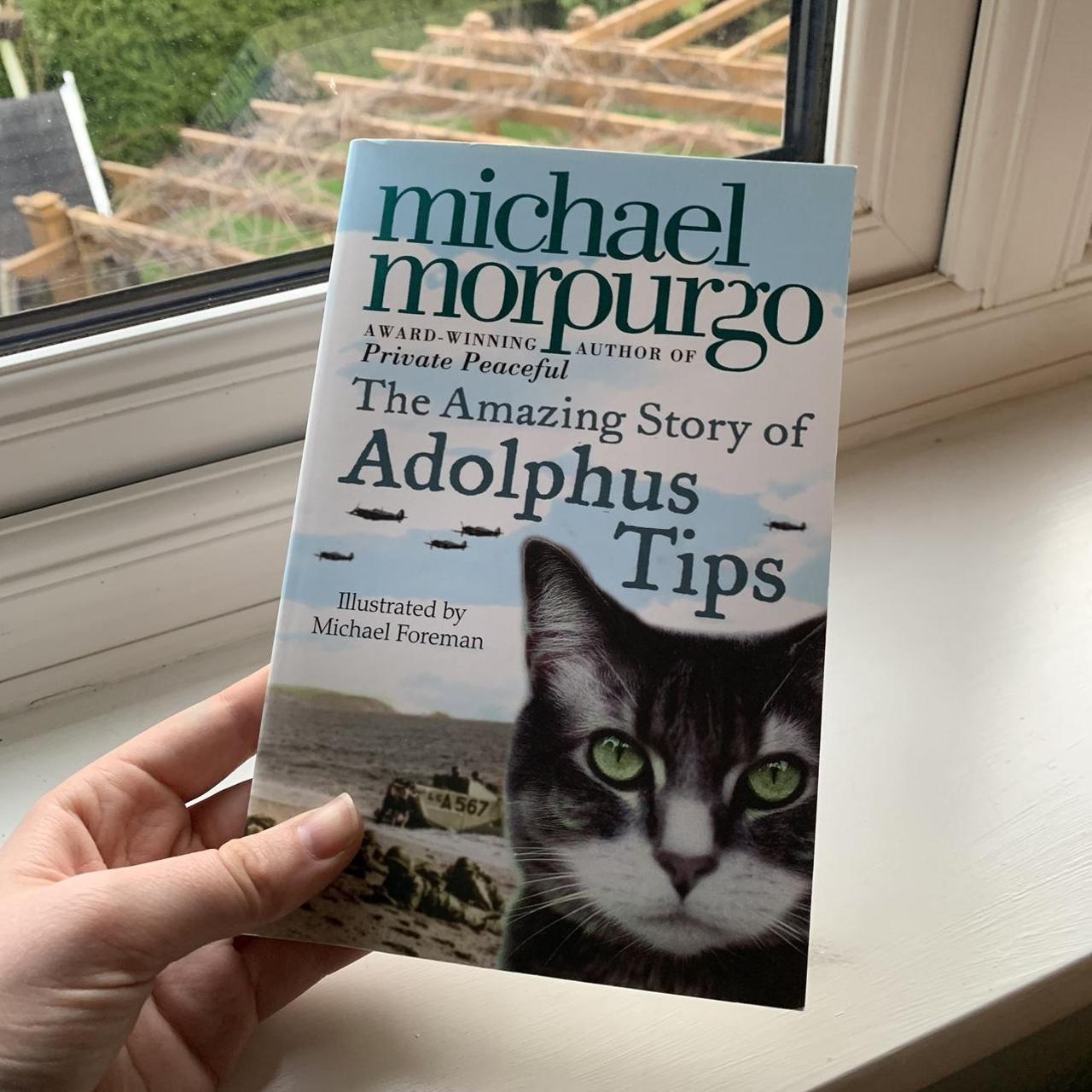 The Amazing Story of Adolphus’s Tips - Michael... - Depop