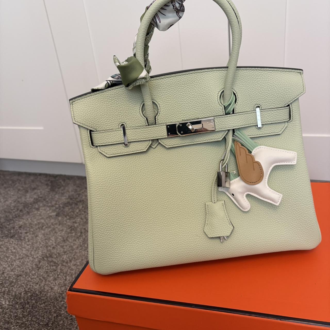 Pale green/vert fizz colour Togo leather silver... | Depop