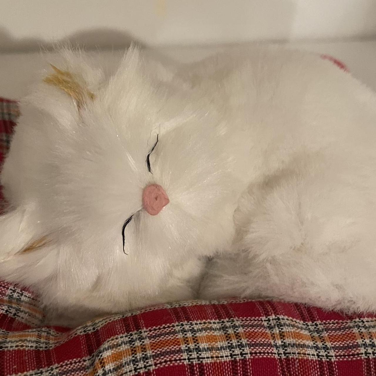 Kitten soft toy. Very eepy - Depop