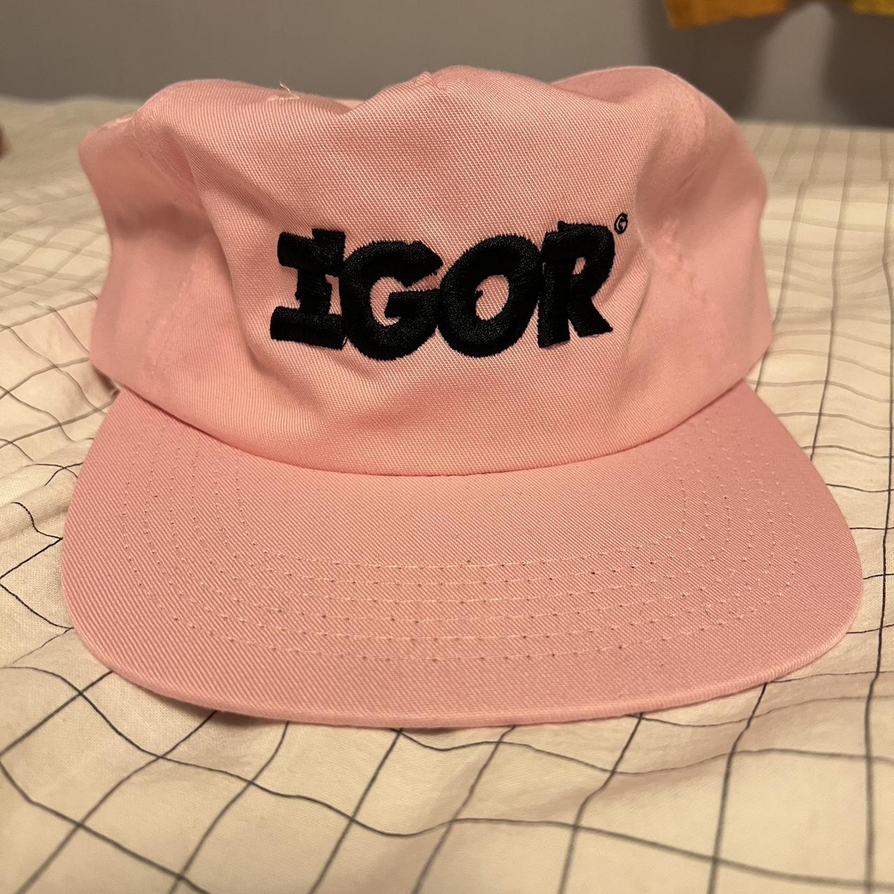 Tyler, The Creator IGOR pink snap back hat from the... - Depop
