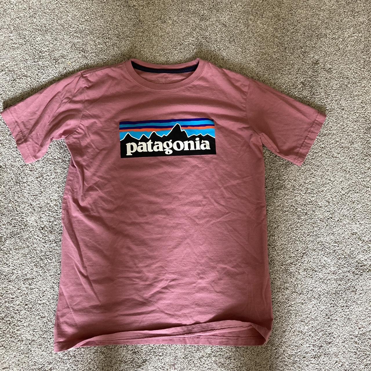 Patagonia Graphic Tee Size XXL (16-18) Like New... - Depop