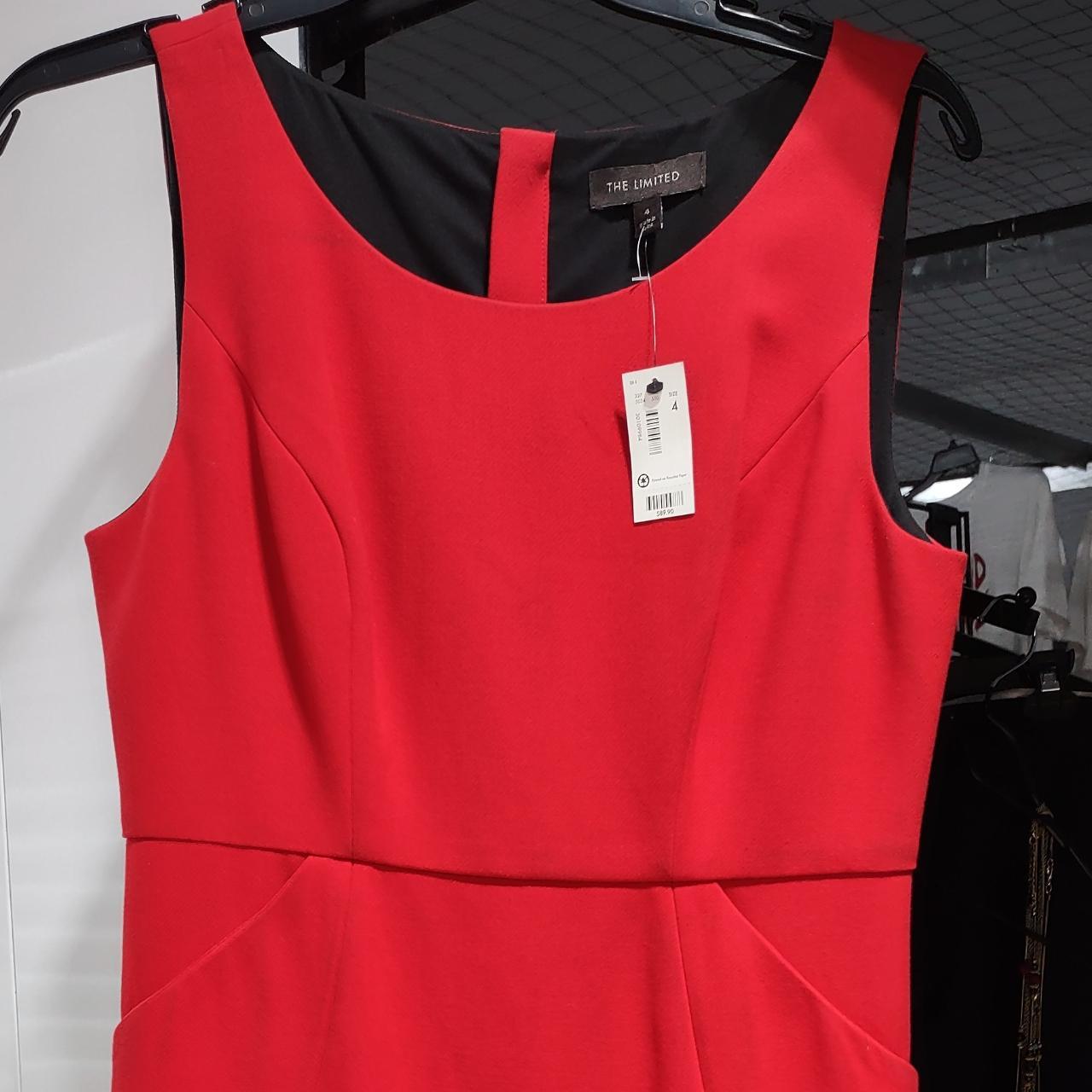 Red sleeveless bodycon dress with zippered back from... - Depop