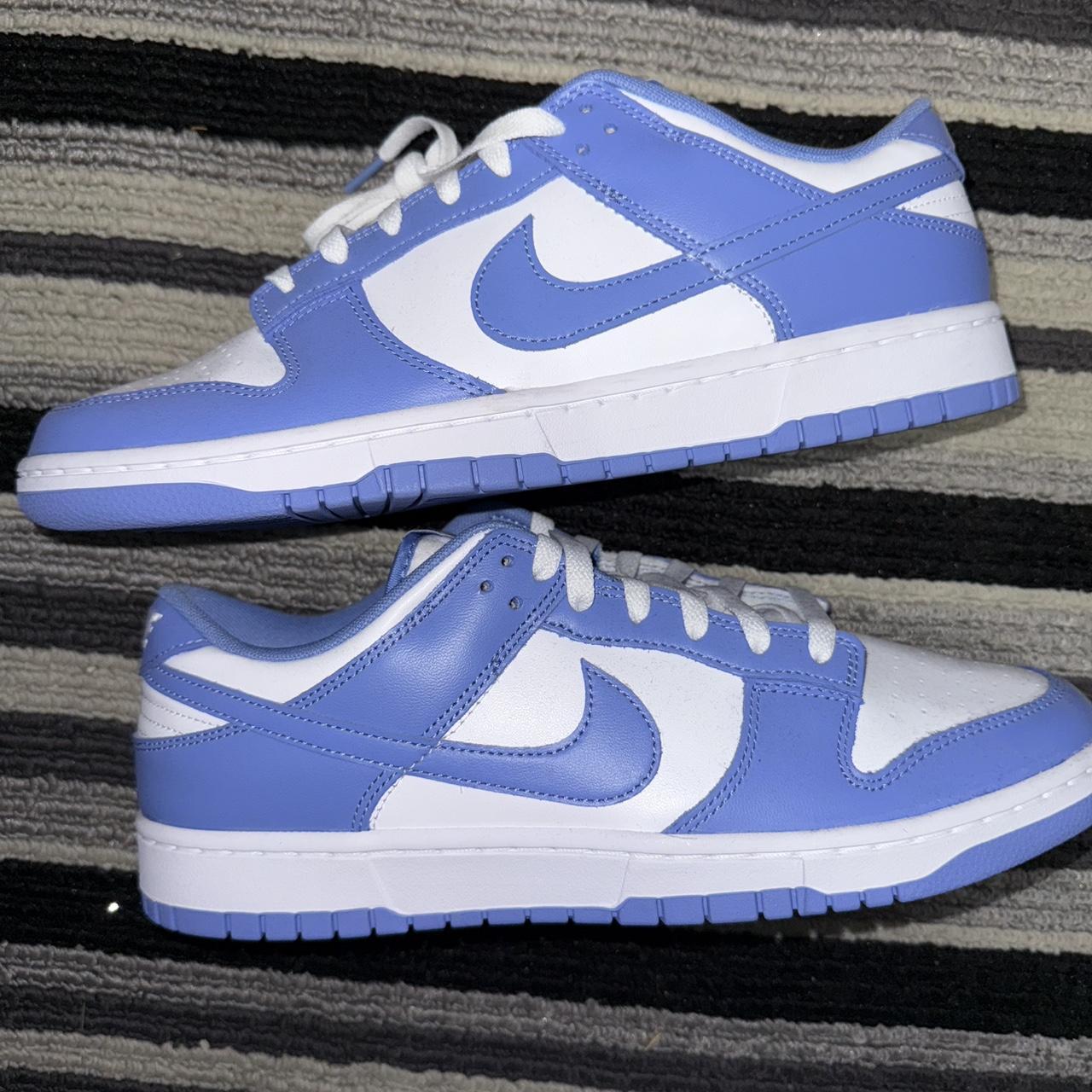 nike polar ice dunks brand new no box - Depop