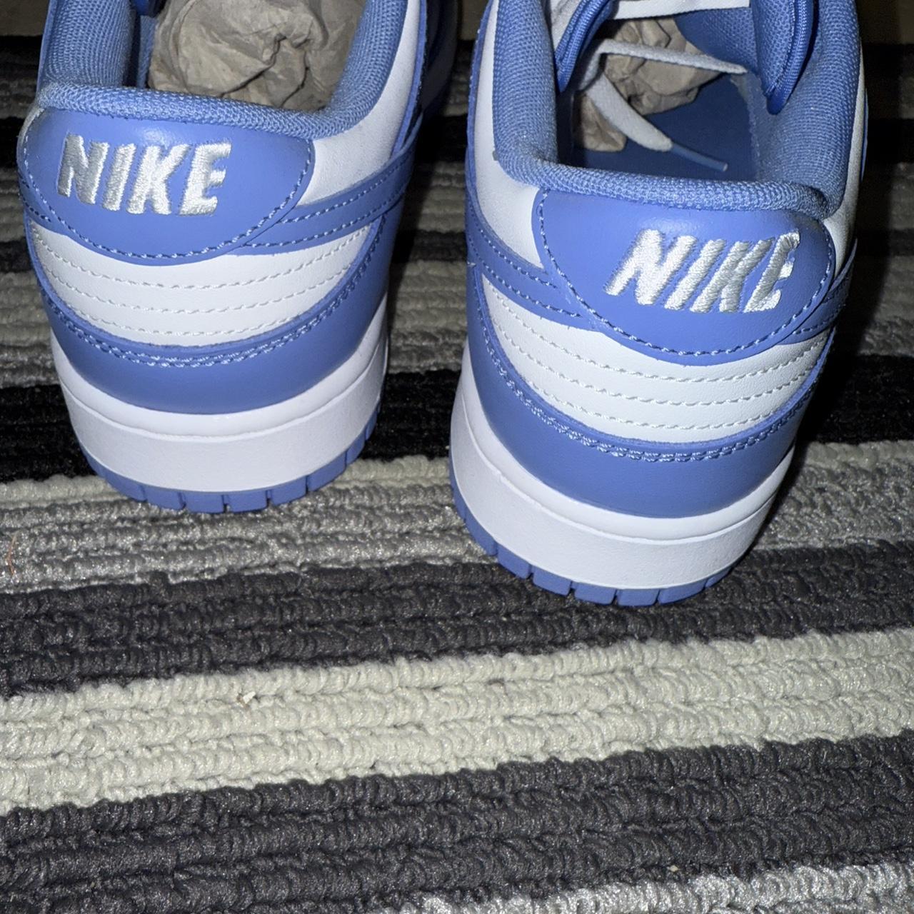 nike polar ice dunks brand new no box - Depop