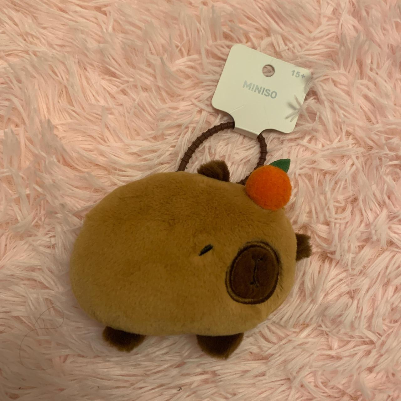 Capybara mini purse wallet from miniso - Depop
