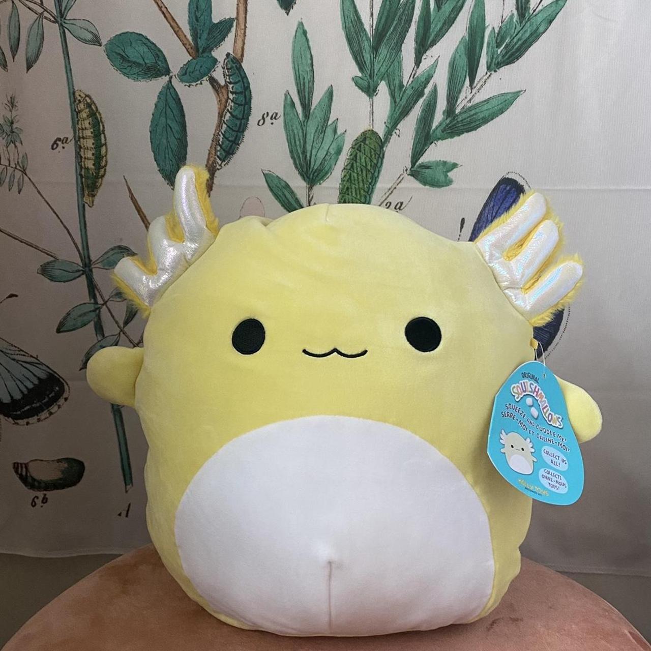 Treyton the Axolotl 12 inch Squishmallow! With... - Depop