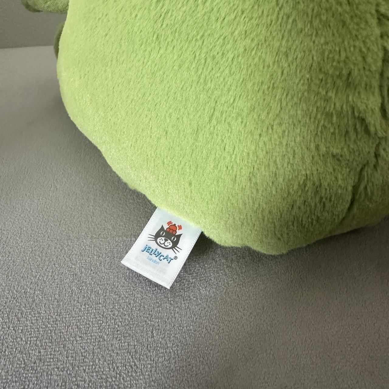 Jellycat Ricky Rain Green Frog Plush Stuffed... | Depop