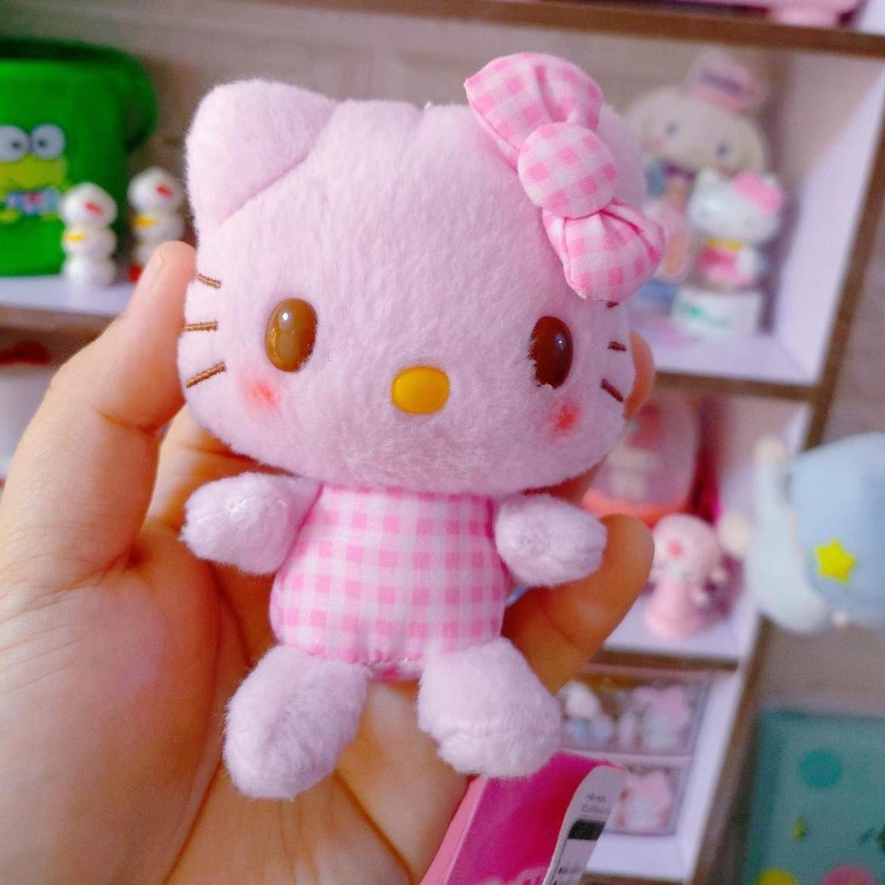 Sanrio Dolls-accessories | Depop