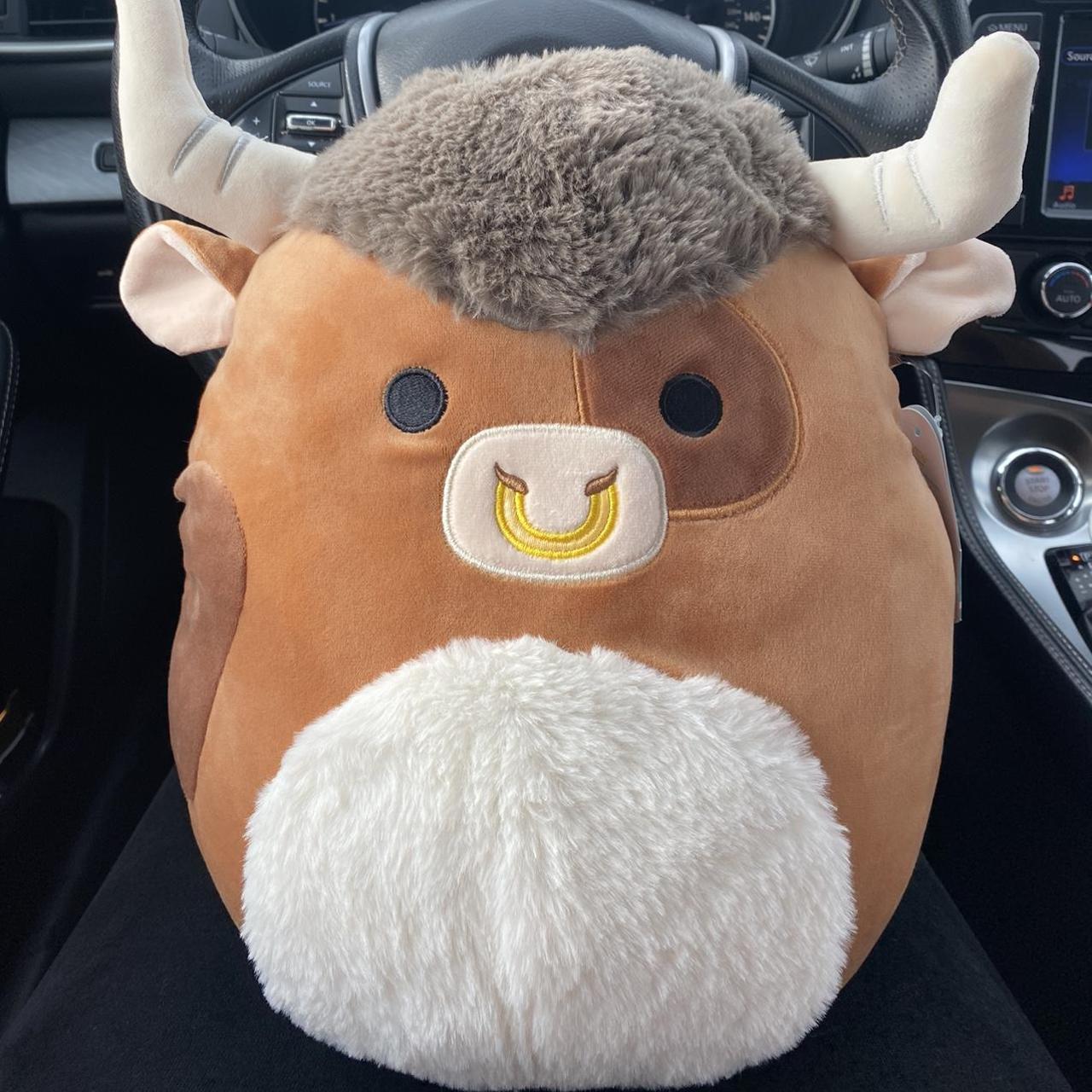 BNWT 11” Shep the Highland Cow Squishmallow! Shep... - Depop BNWT 11” Shep the Highland Cow Squishmallow! Shep... - Depop