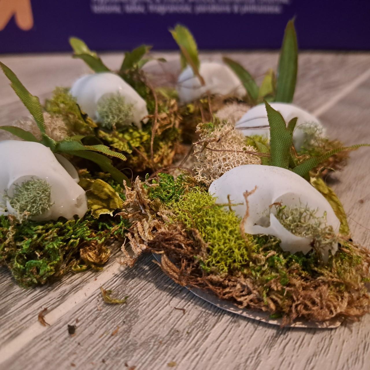 Faux cat skull and moss pendants #fauxskull #moss... - Depop