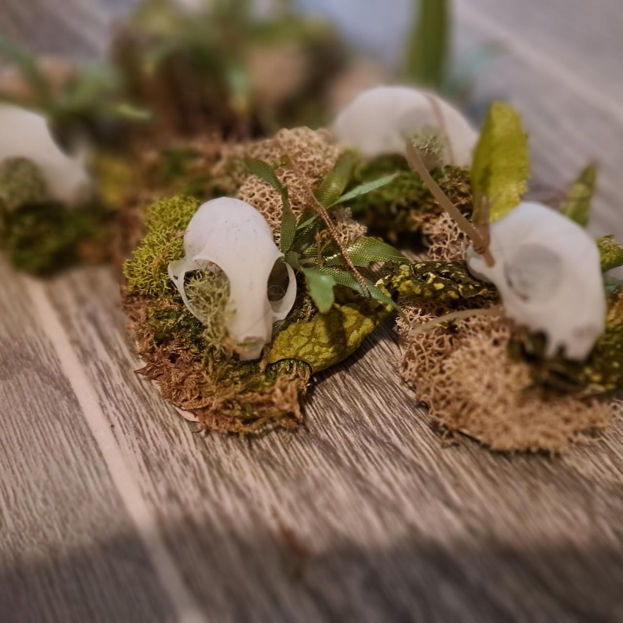 Faux cat skull and moss pendants #fauxskull #moss... - Depop