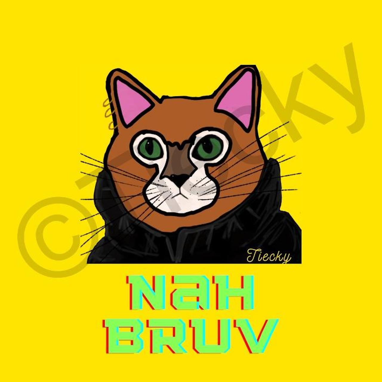 A4 digital art print. “Nah Bruv” cat. - Depop