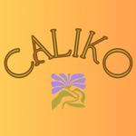 caliko's Depop Shop | Depop