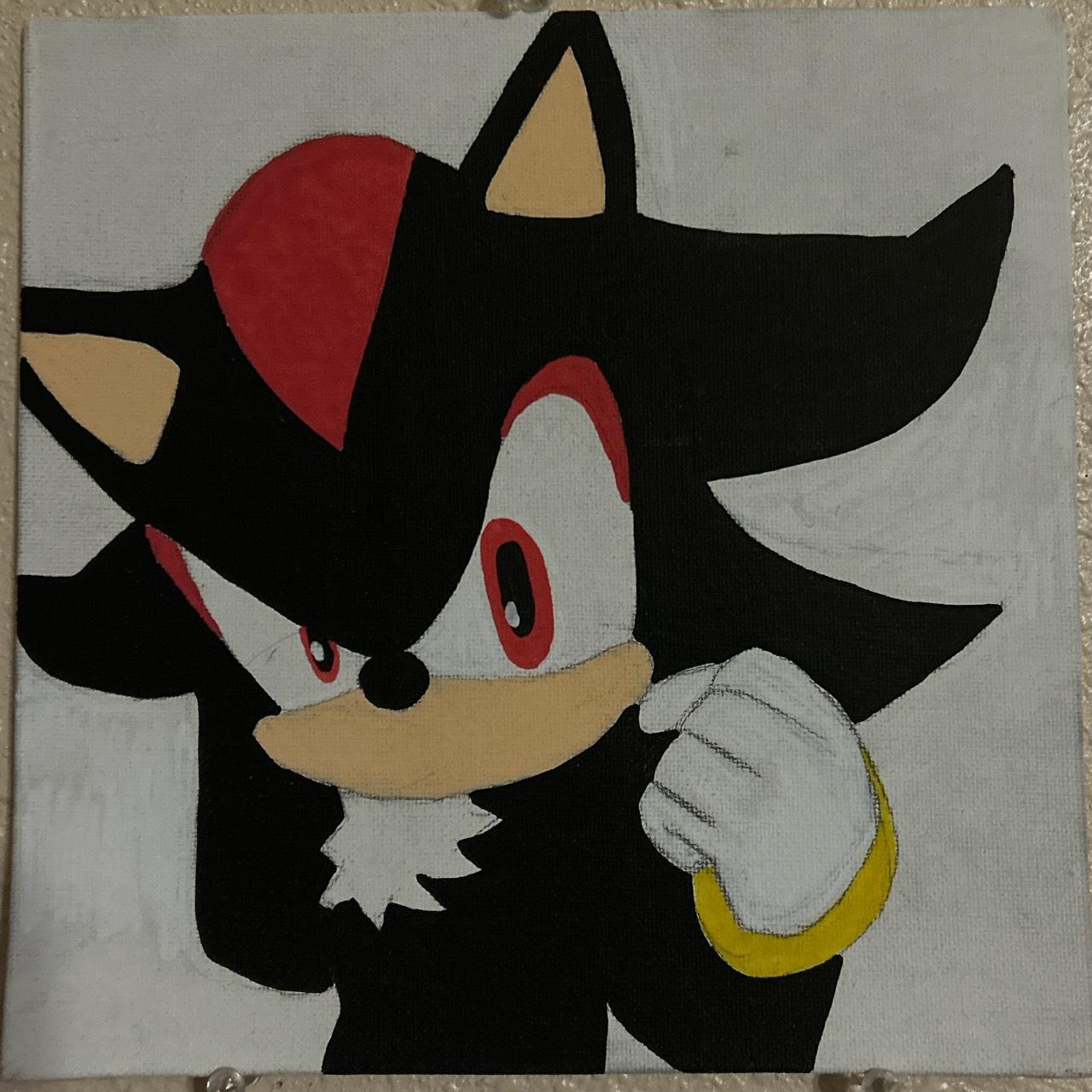 Shadow from sonic painting 8x8 in flat canvas - Depop