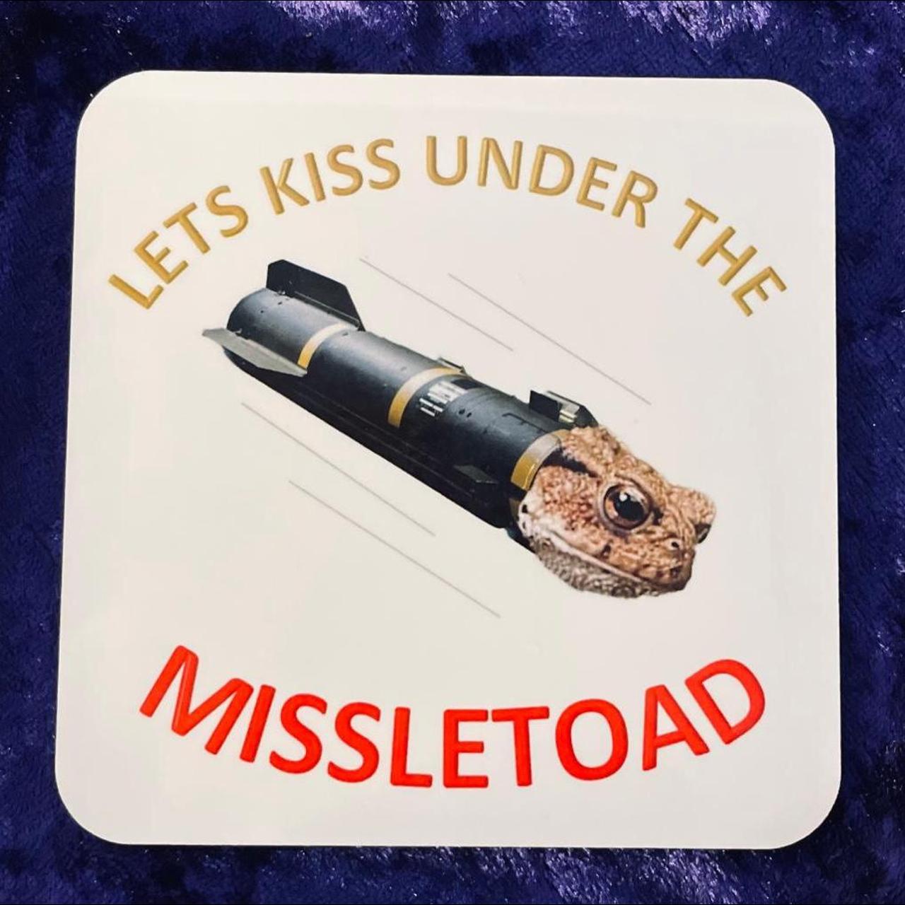 let’s kiss under the missletoad coaster 🐸... - Depop