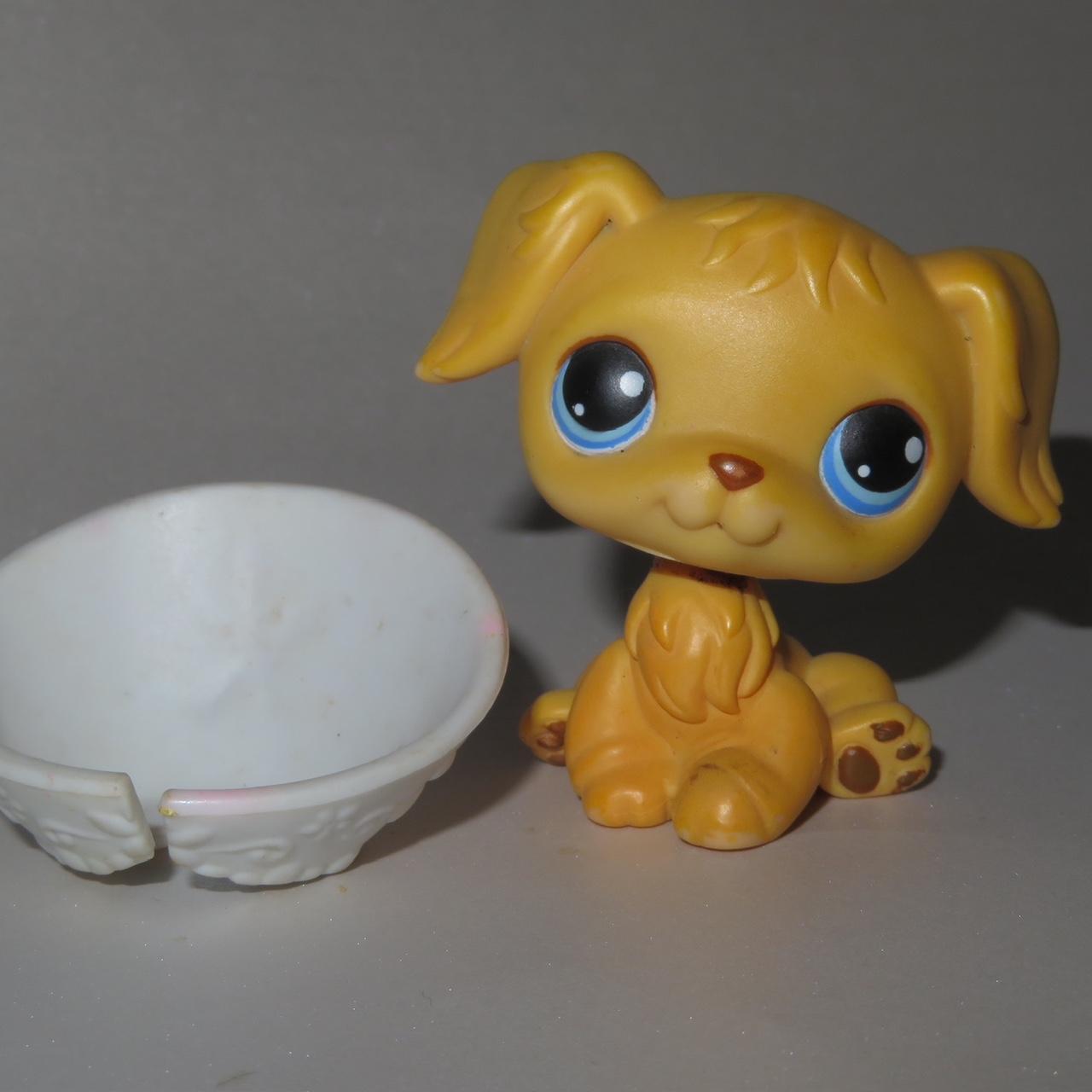 Littlest pet shop #21 with doggy cone 🦮🤍 Golden... - Depop