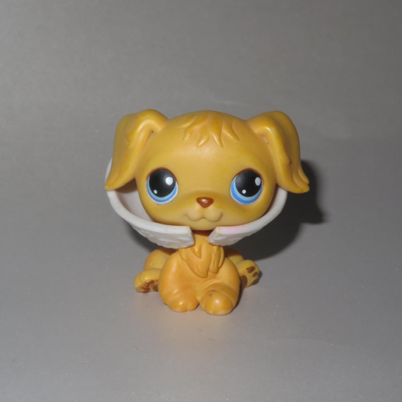 Littlest pet shop #21 with doggy cone 🦮🤍 Golden... - Depop