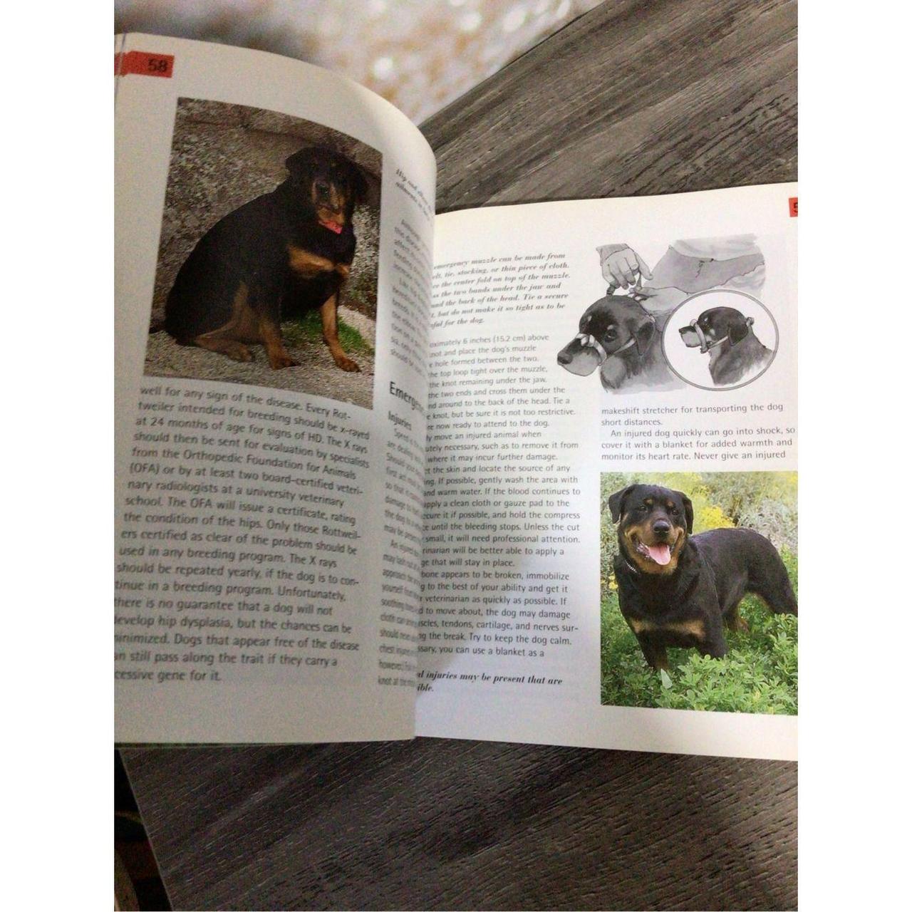 1999 Vintage Rottweiler Book Rottweilers A Complete... - Depop