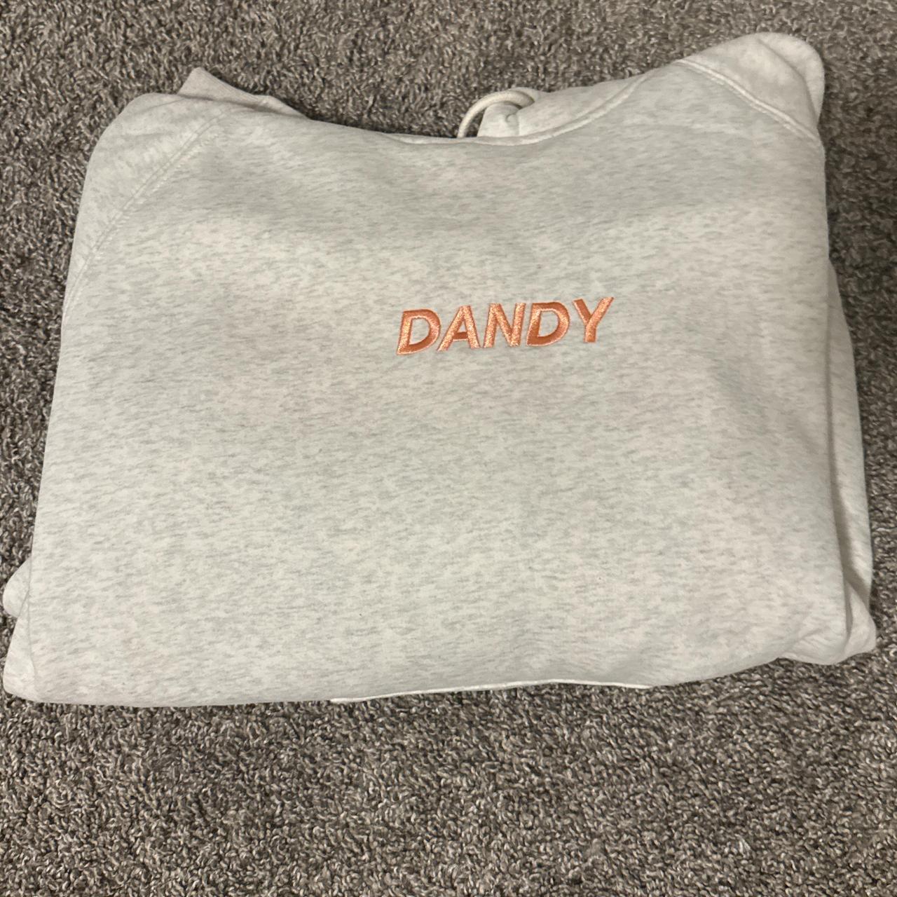 Never Worn Dandy “Let’s watch the sunset” Hoodie... | Depop