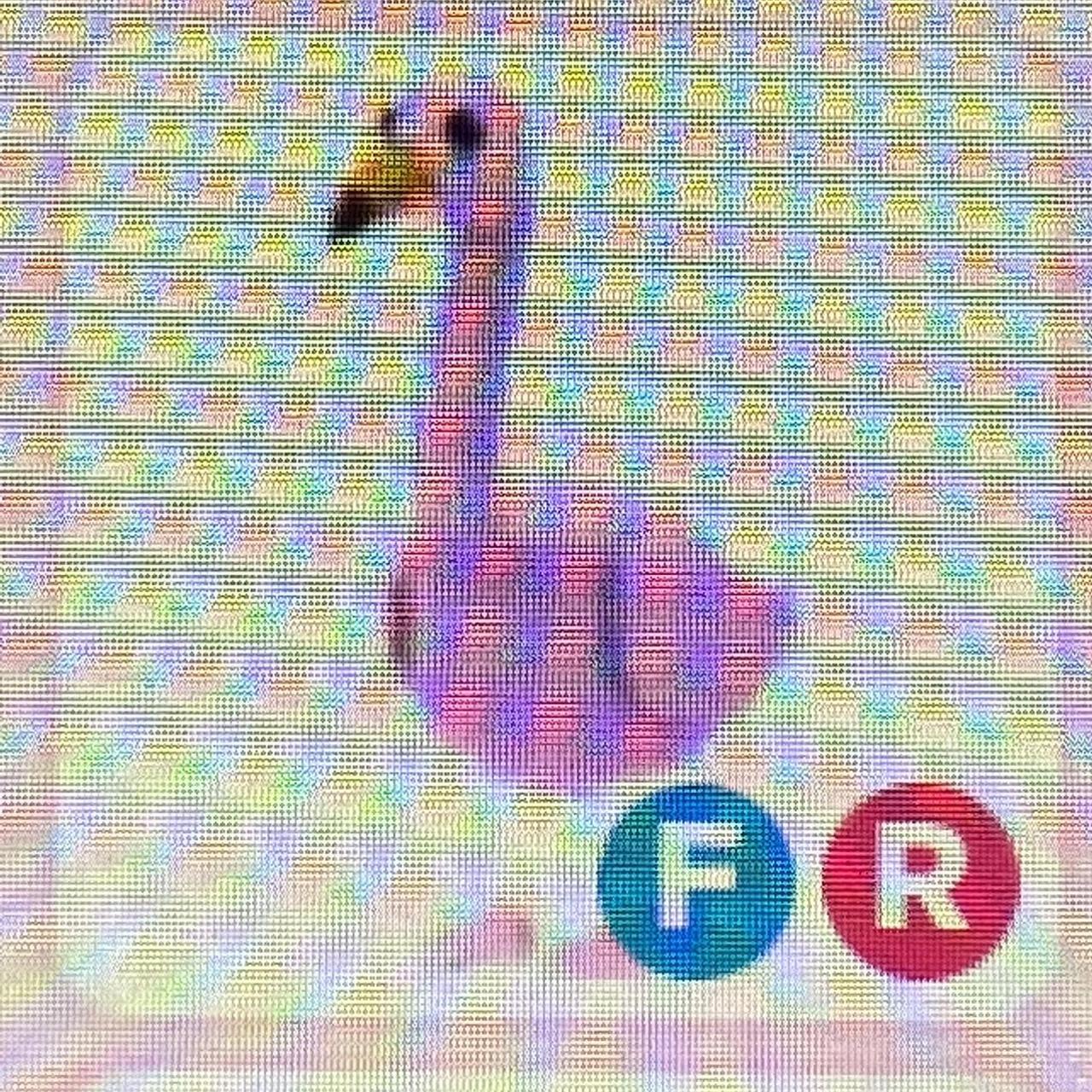 roblox adopt me, fly ride flamingo, item will be... - Depop