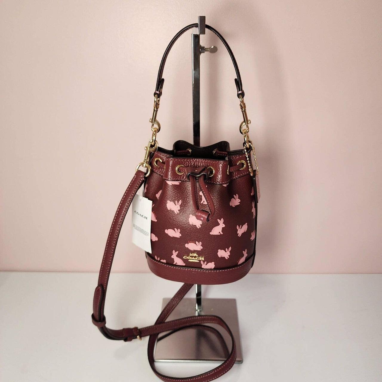 COACH LUNAR NEW YEAR MINI DEMPSEY BUCKET BAG WITH... - Depop