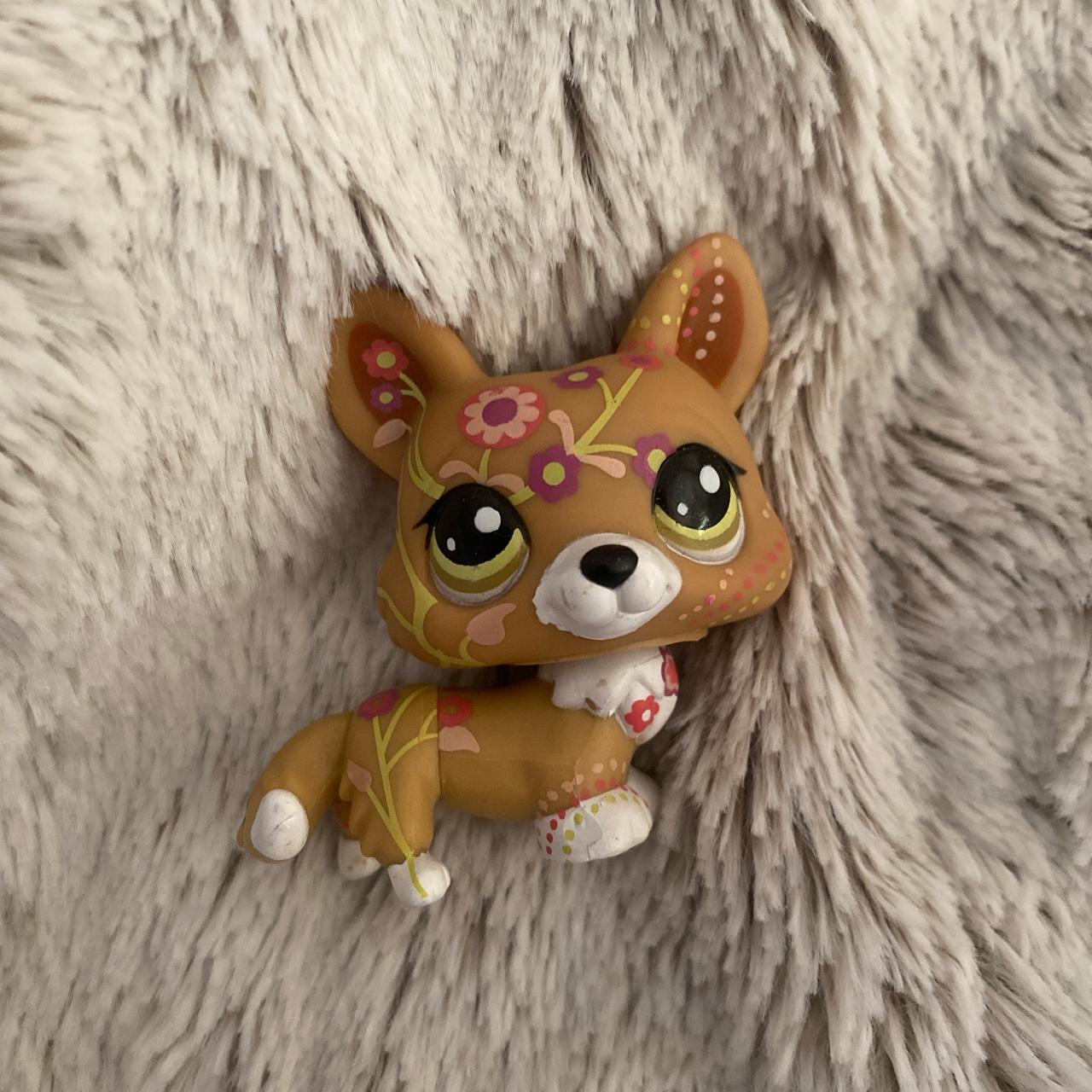 lps littlest pet shop floral corgi light brown green... - Depop