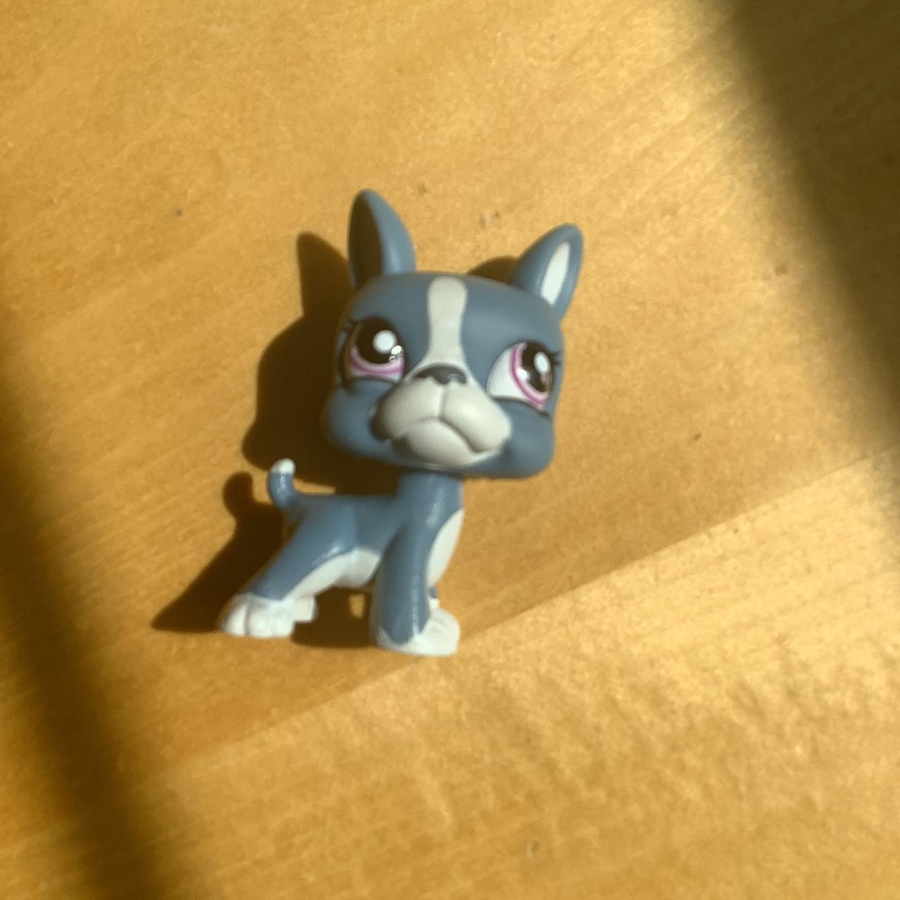 LPS #1025 Really good condition #lps... - Depop