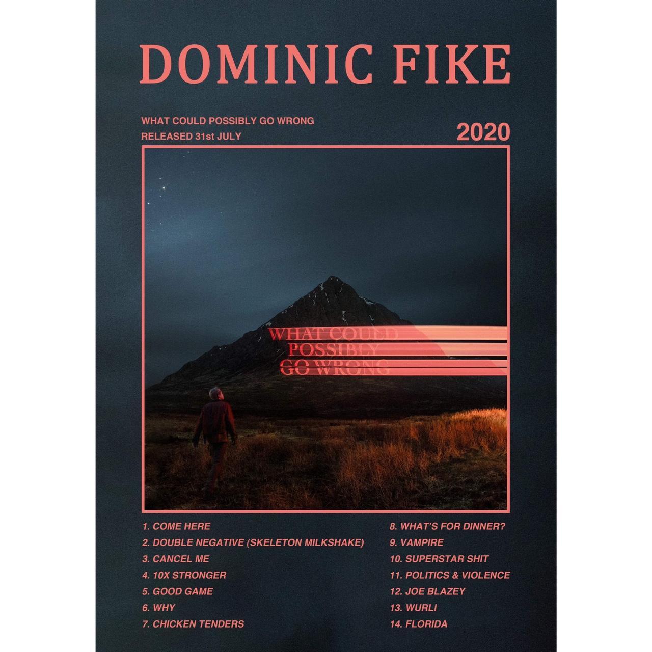 A3 PRINT // Dominic Fike - What Could Possibly Go... - Depop