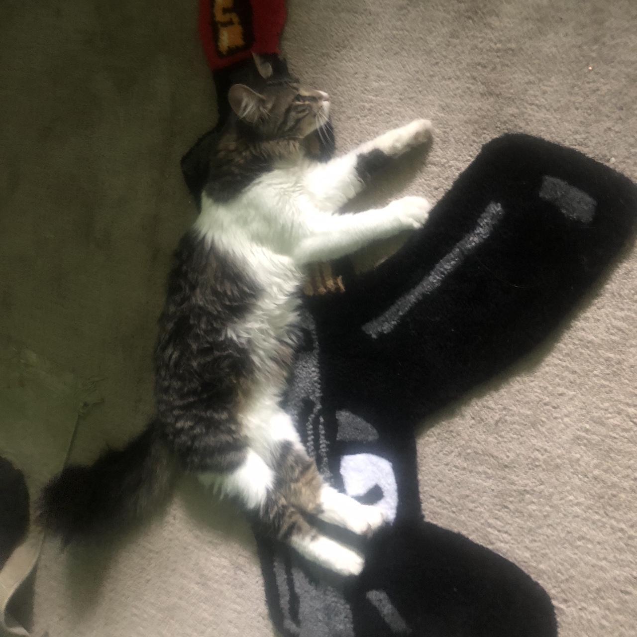 Draco rug 3ft long Dm for any... - Depop