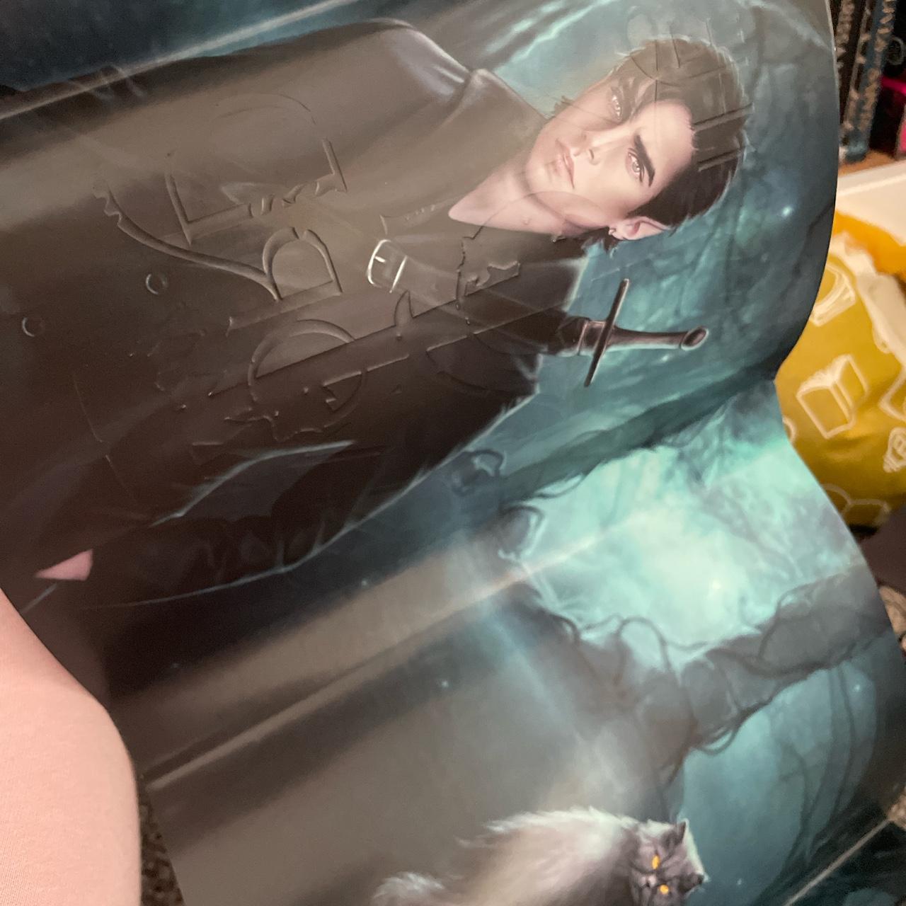 The Iron Sword by Julie Kagawa Evenfall book 2... - Depop