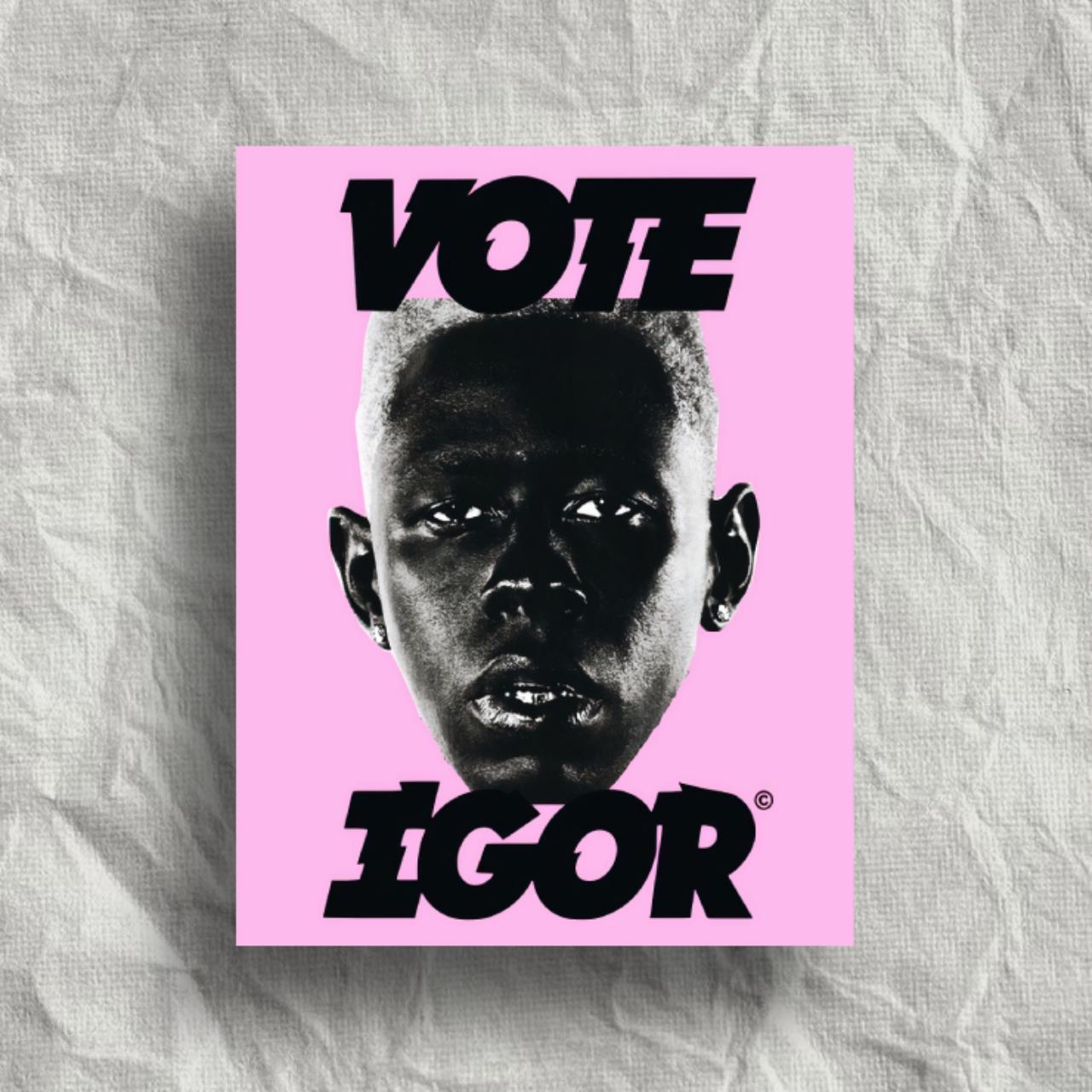 Tyler, the Creator ‘IGOR’ Poster Laser paper... - Depop