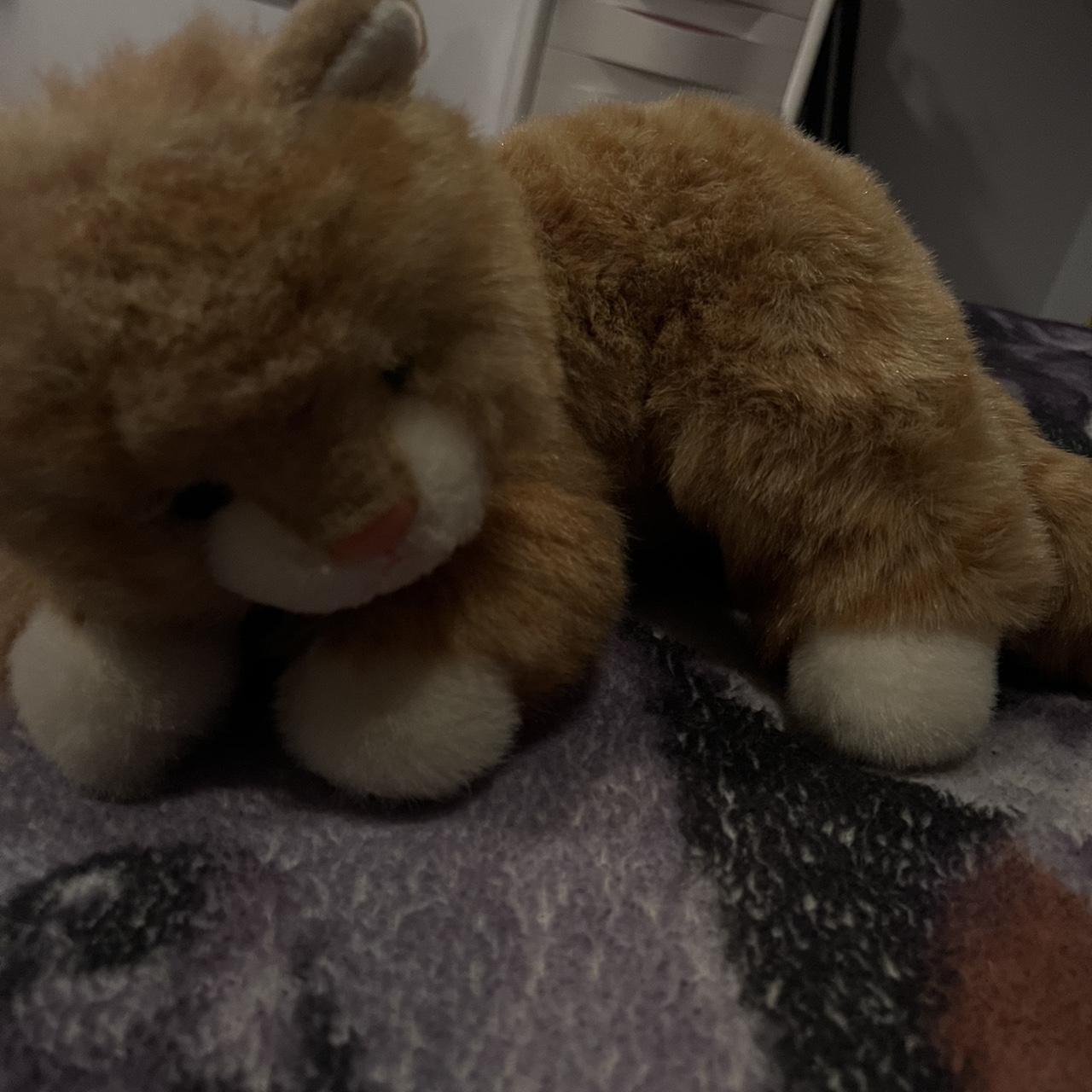 Cute adorable realistic orange cat stuffy 😸 All... - Depop