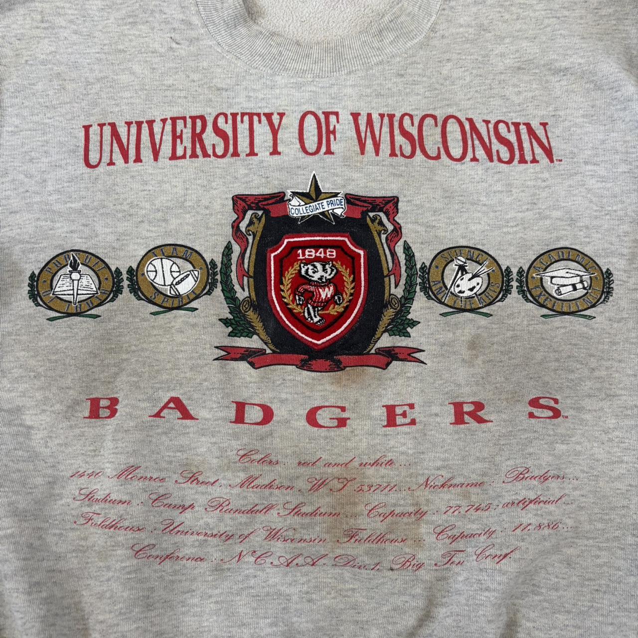 Vintage University Of Wisconsin Crew Neck Hoodie | Depop