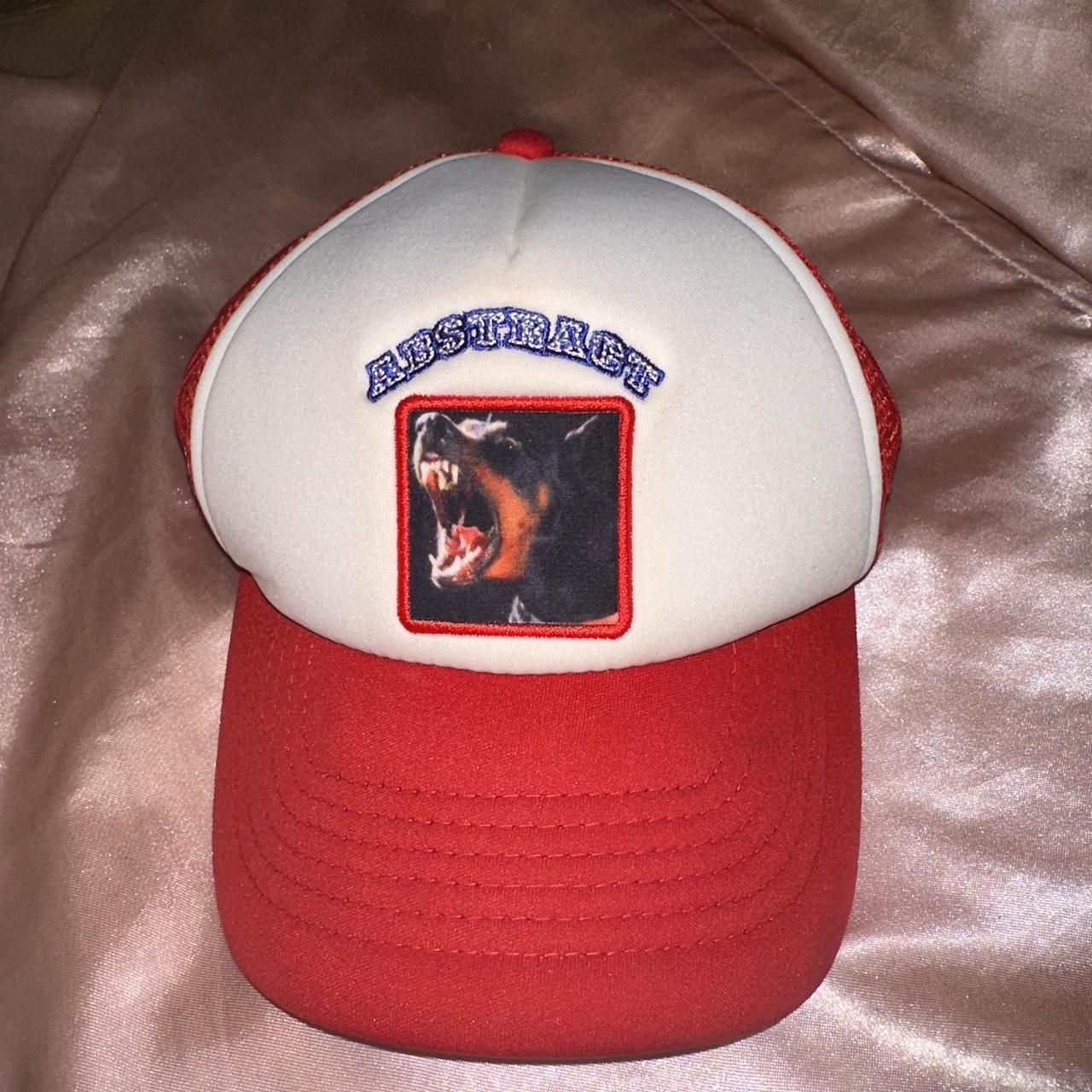 SnapBack hat never wore 🙂 - Depop