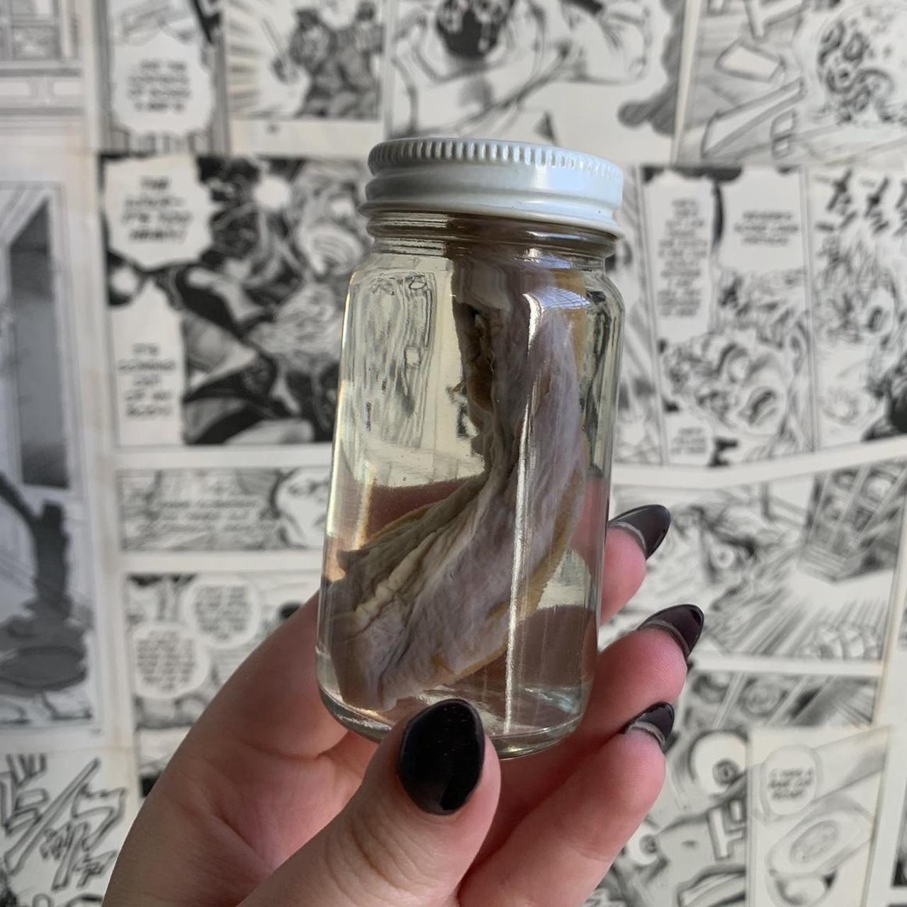 wet specimen cat tongue - ethically sourced - got... - Depop