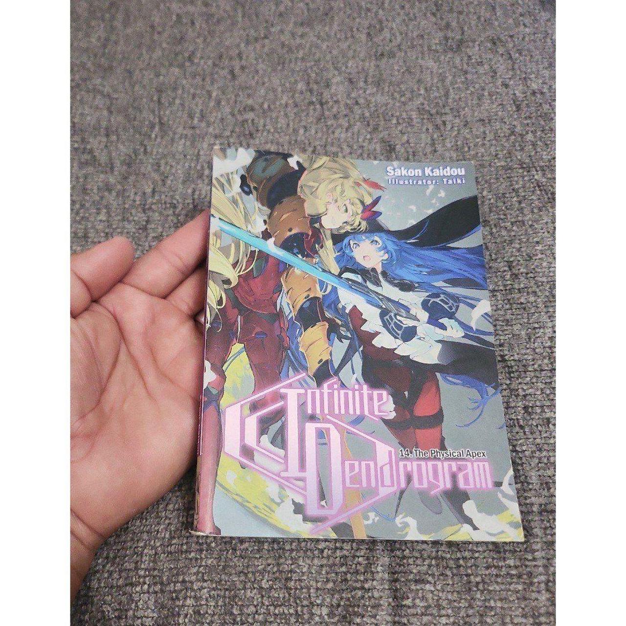 Infinite Dendrogram: Volume 14 (Light Novel) (Volume... - Depop