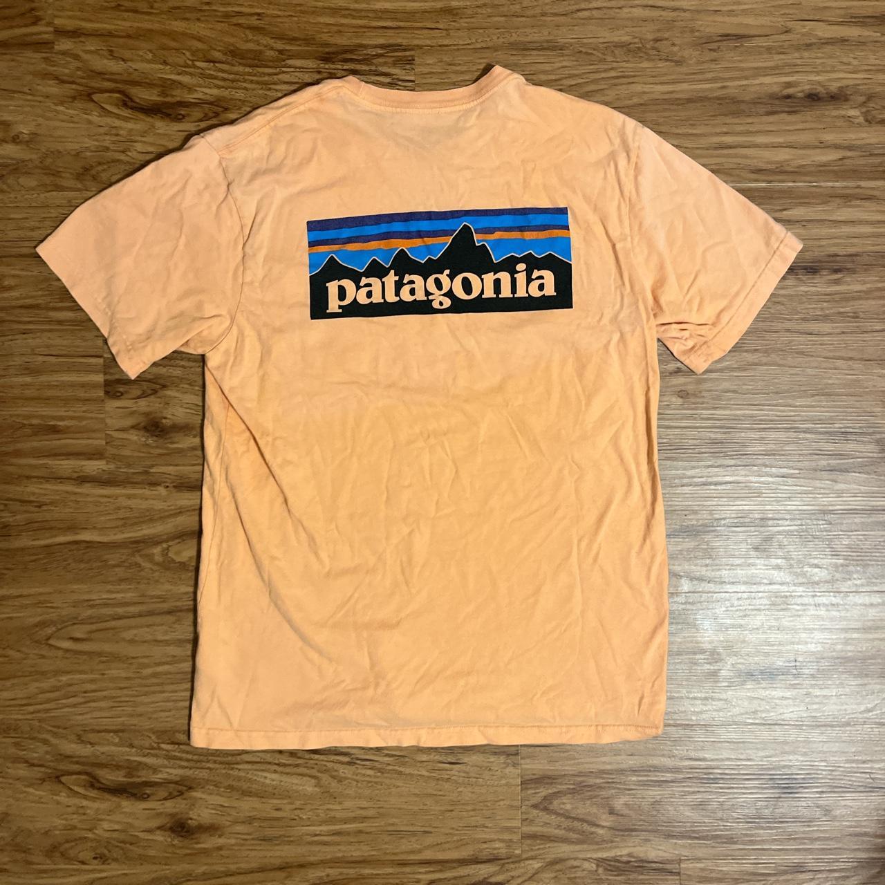 Patagonia Graphic Tee Size M Excellent Condition no... - Depop