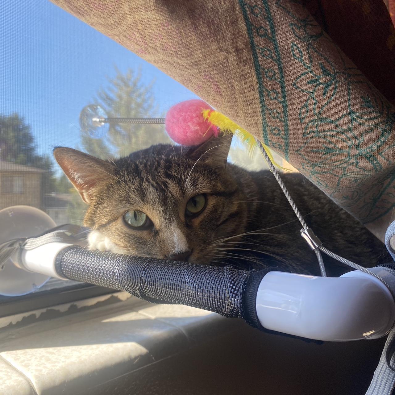 Fabletics grey workout pants 🏃🏻‍♀️ #workout #running... - Depop