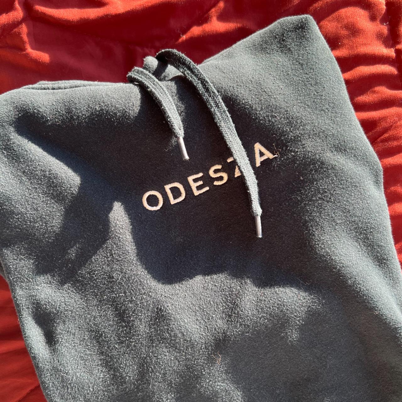 odesza “The Last Goodbye” maze hoodie | small stain... | Depop