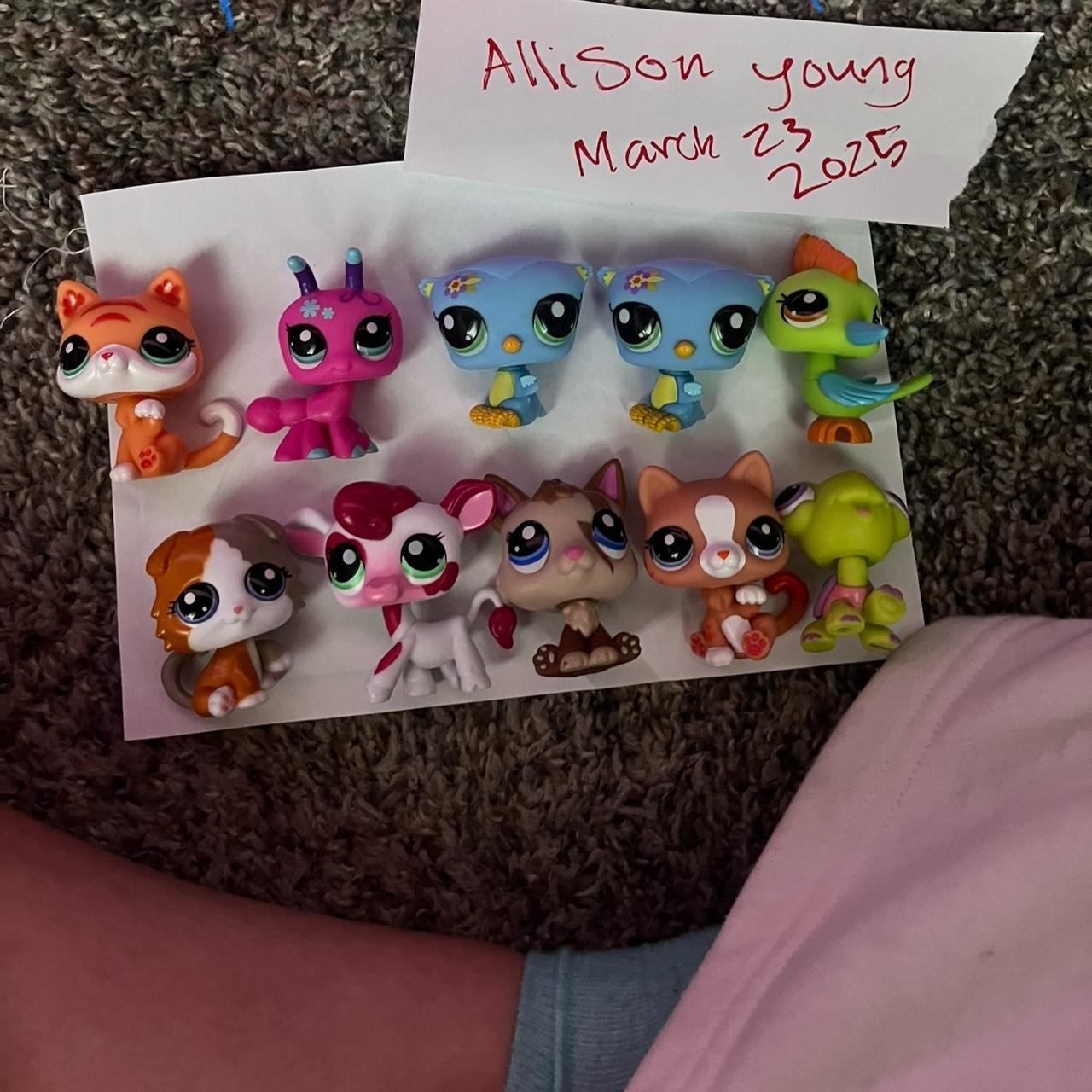 lps lot with accessories | Depop