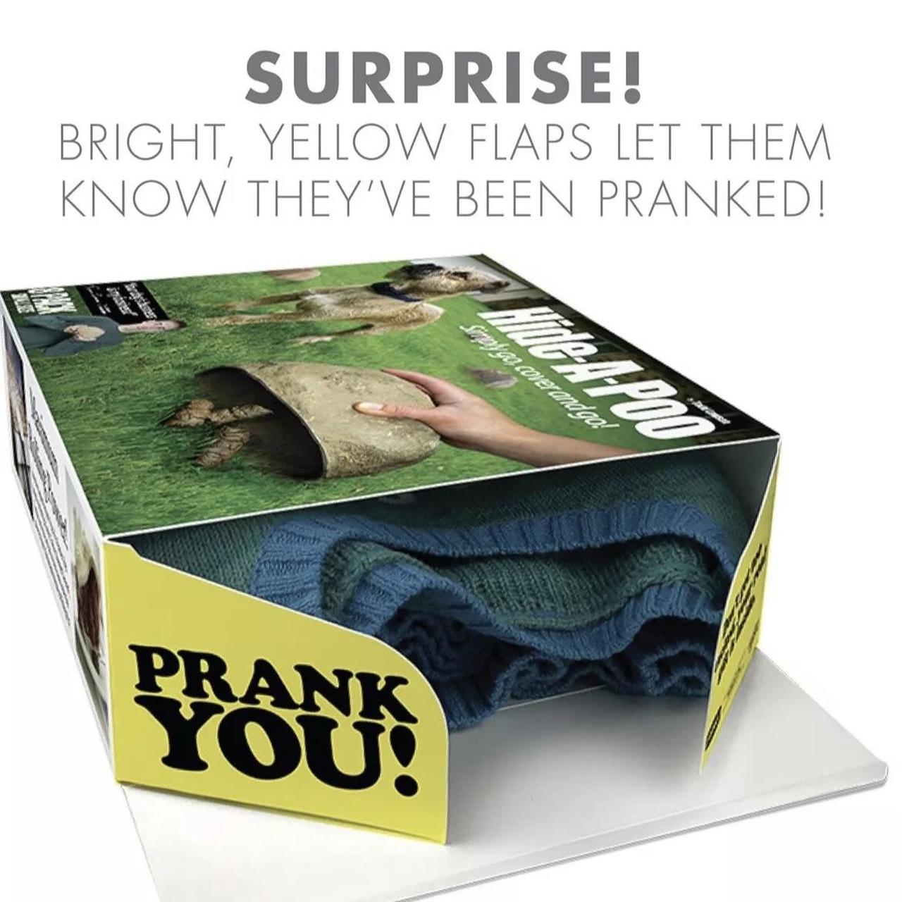 Hide A Poo Prank Gift Box, Wrap Your Real Present in... | Depop