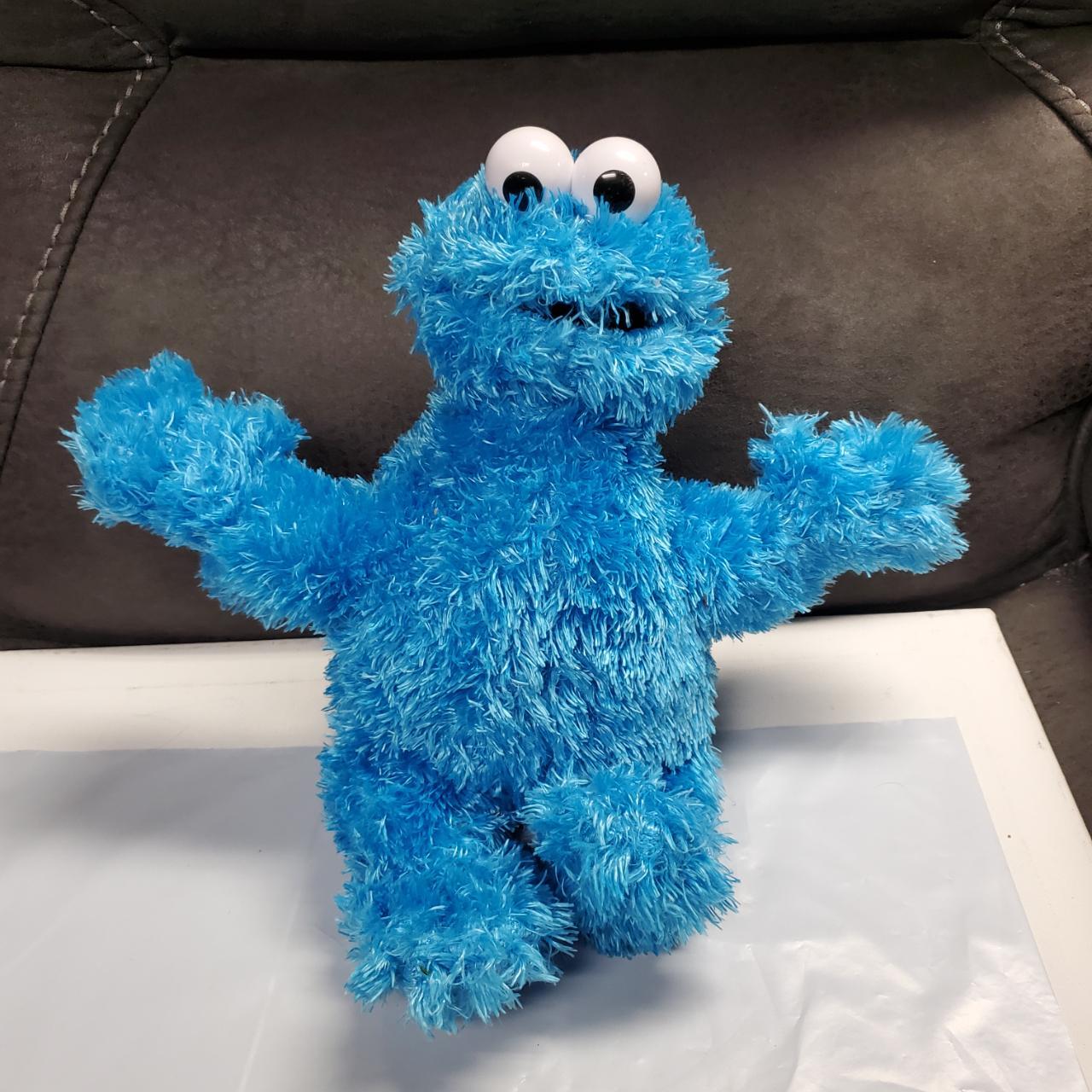 This 12-inch Cookie Monster plush figure from GUND... | Depop