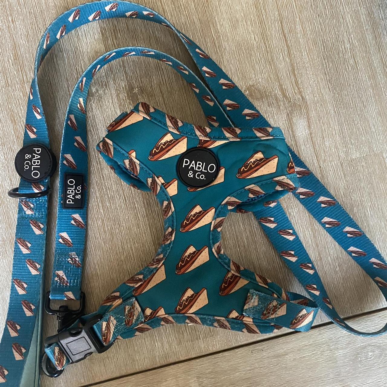 Pablo & Co sausage sizzle dog harness 💖 size XS - Depop