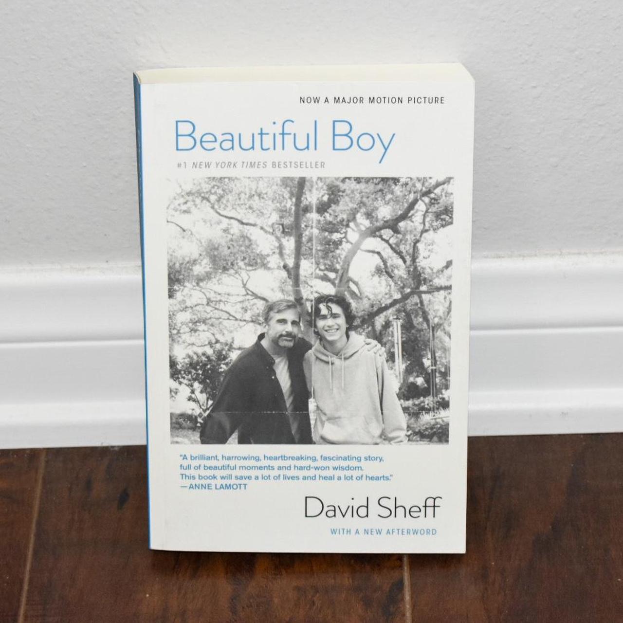 Beautiful Boy by David Sheff - Paperback Inspired... - Depop