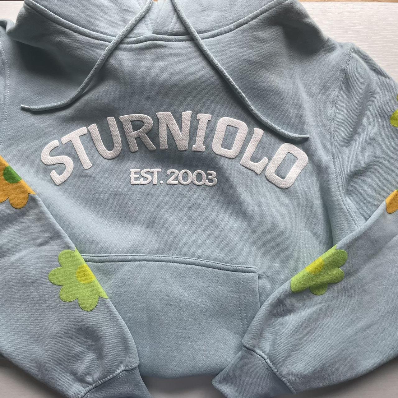 Sturniolo 2 Million Merch Hoodie in Size... - Depop