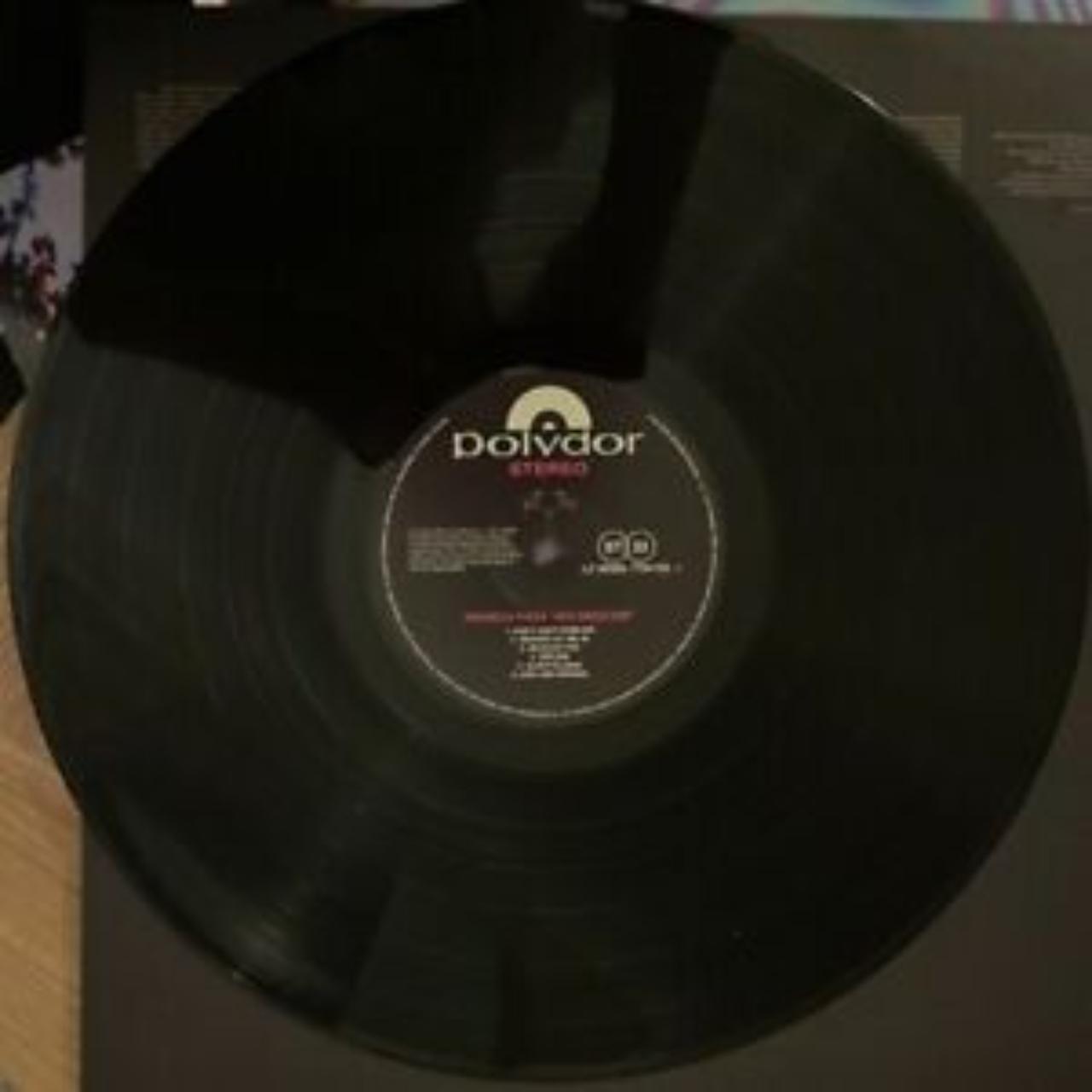 Inflorescent by Friendly Fires (Record,... - Depop