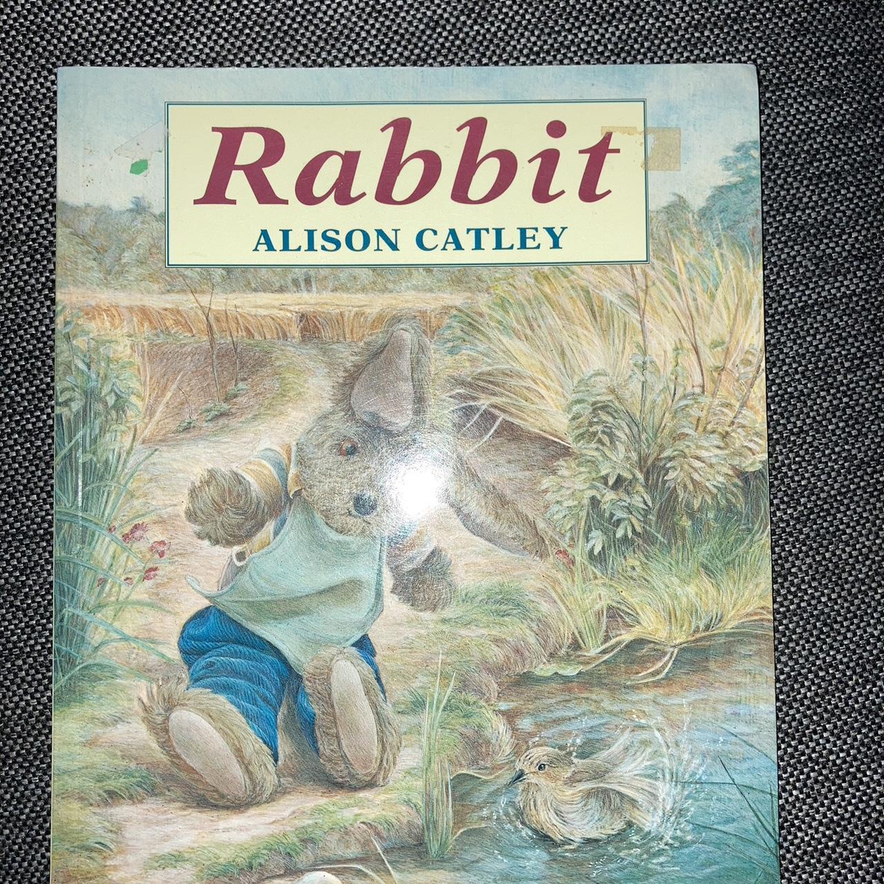 Rabbit (Red Fox picture books), Catley, Alison great... - Depop
